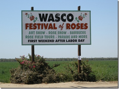 Maybelline's Garden: Wasco Rose Festival